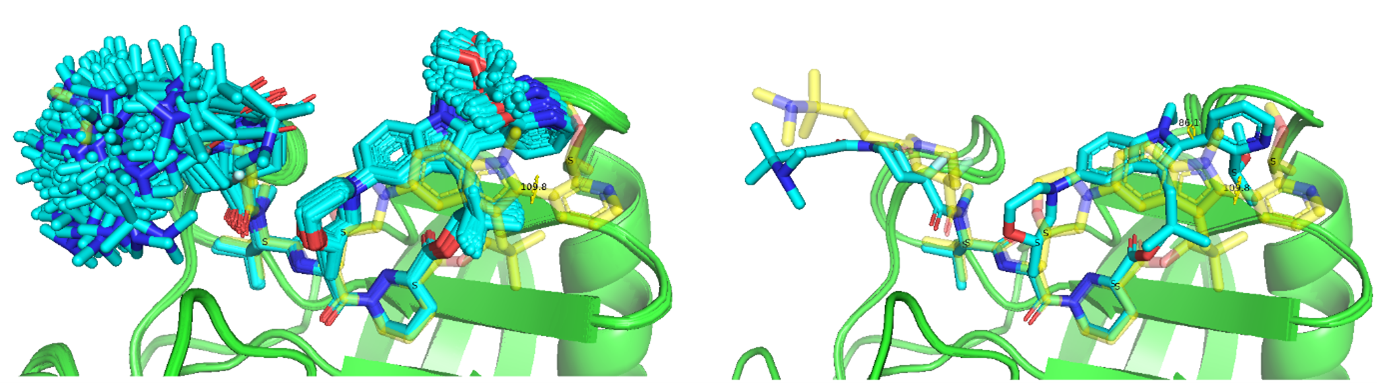 Evaluating the Boltz-2 Co-folding Model for Challenging Modalities: A Two-Case Study with ...