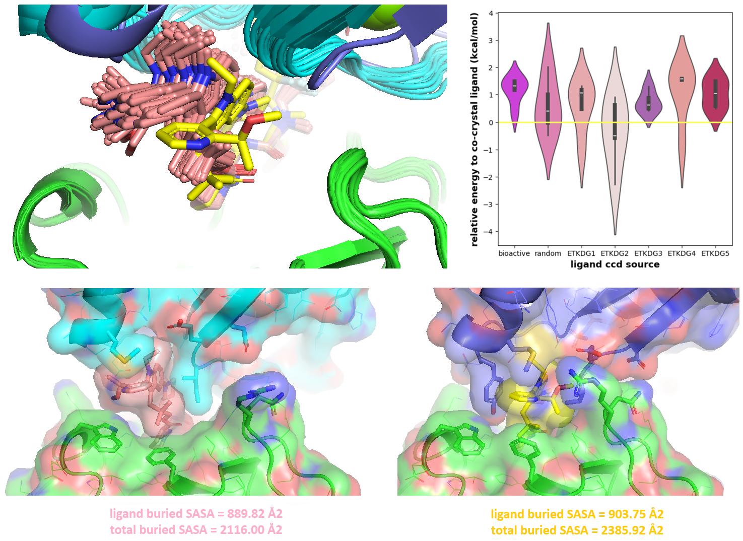 Evaluating the Boltz-2 Co-folding Model for Challenging Modalities: A Two-Case Study with ...