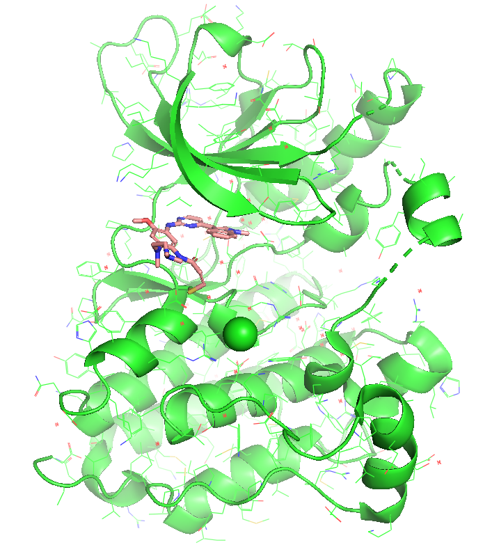 Evaluating the Boltz-2 Co-folding Model for Challenging Modalities: A Two-Case Study with ...