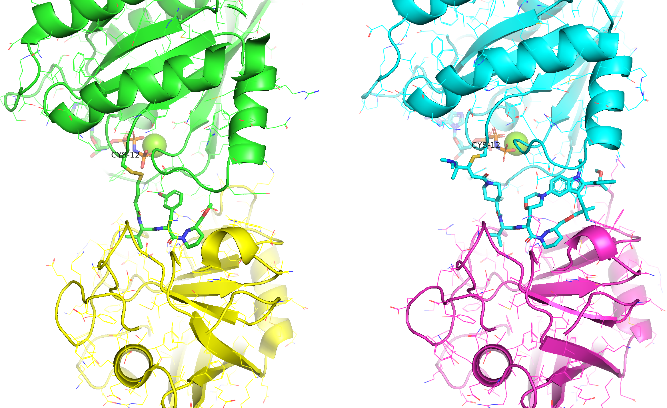 Evaluating the Boltz-2 Co-folding Model for Challenging Modalities: A Two-Case Study with ...