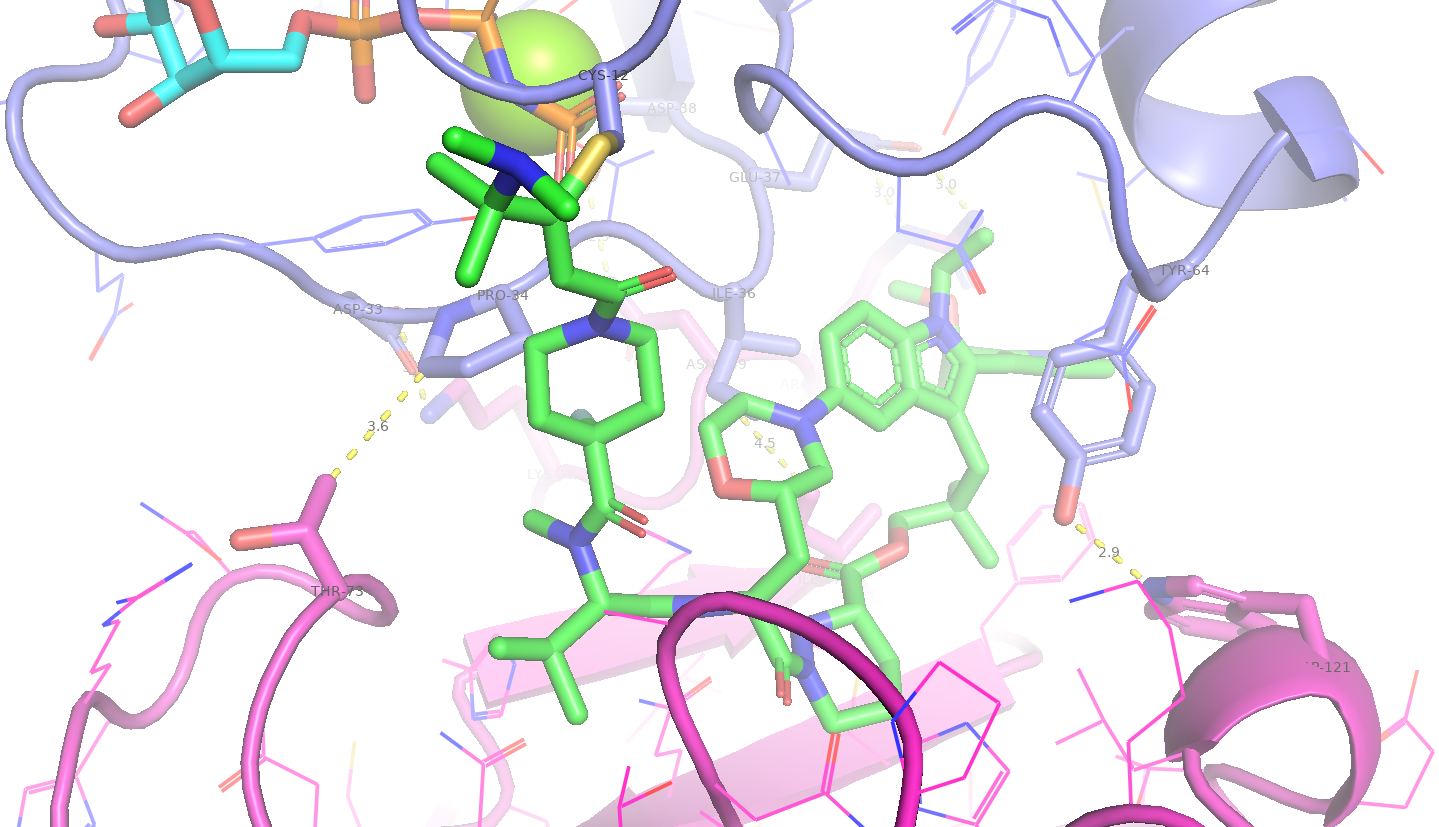 Evaluating the Boltz-2 Co-folding Model for Challenging Modalities: A Two-Case Study with ...