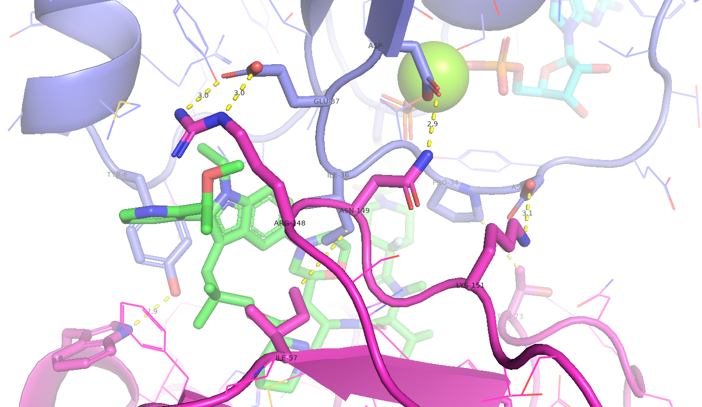 Evaluating the Boltz-2 Co-folding Model for Challenging Modalities: A Two-Case Study with ...