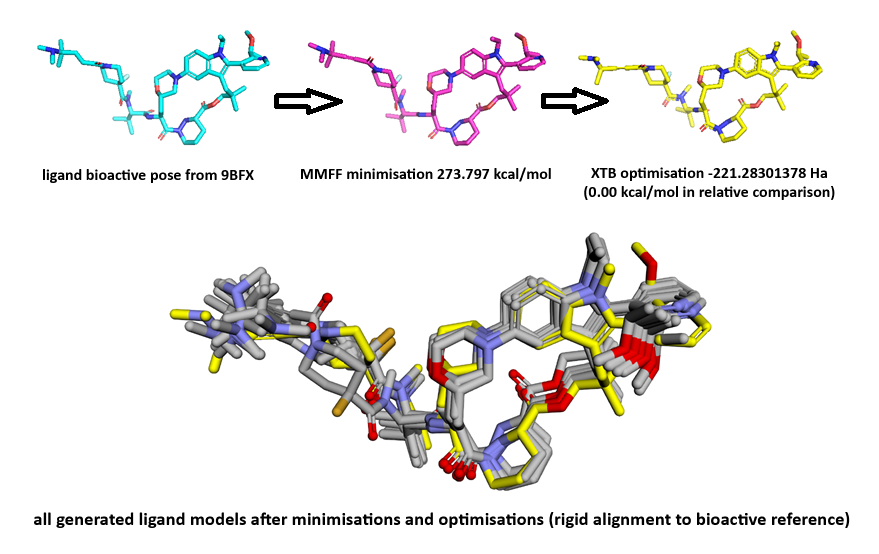 Evaluating the Boltz-2 Co-folding Model for Challenging Modalities: A Two-Case Study with ...